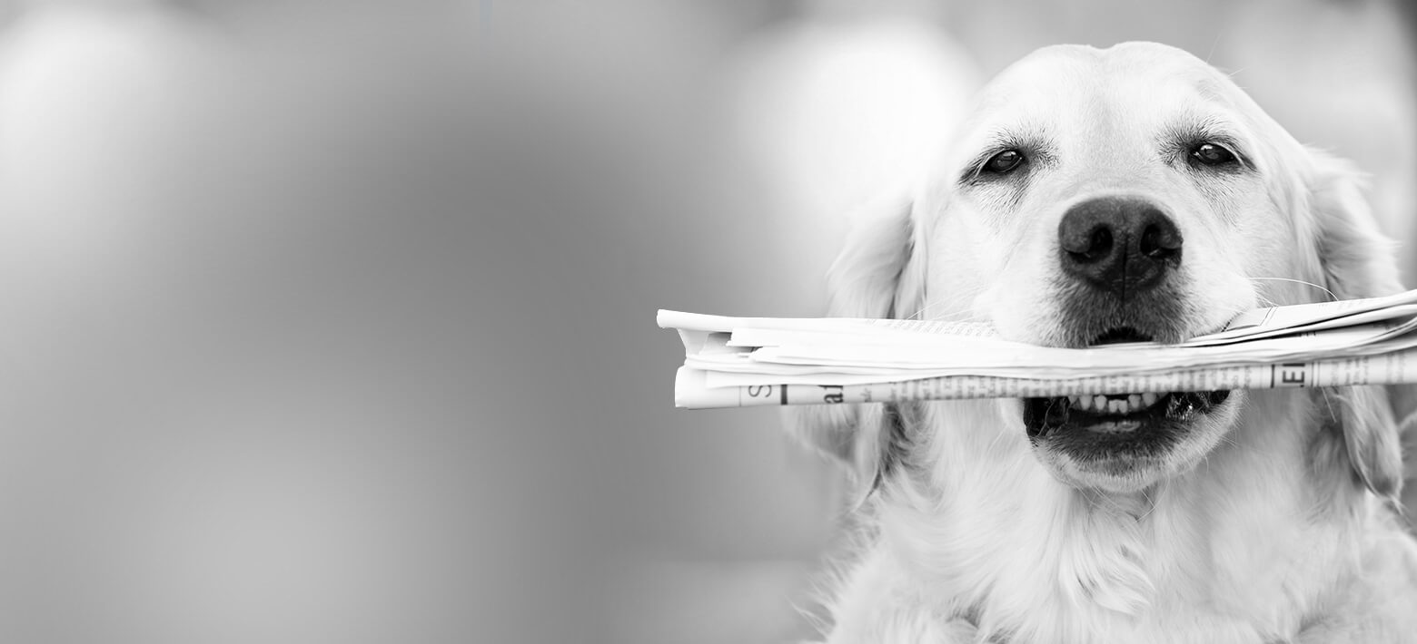 Stay Updated – MEITAR